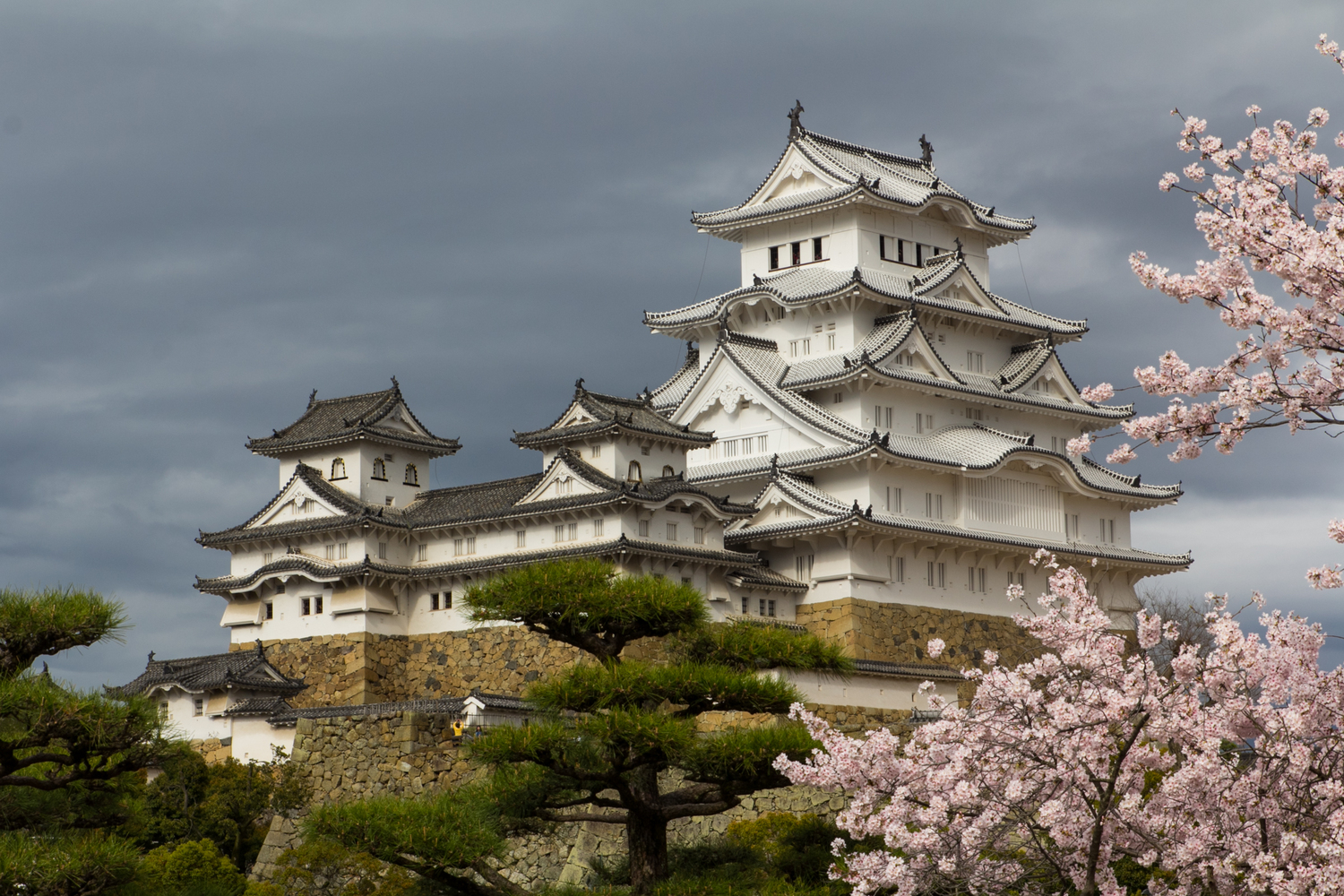 The most beautiful place in Japan that you cannot forget - TripJalan