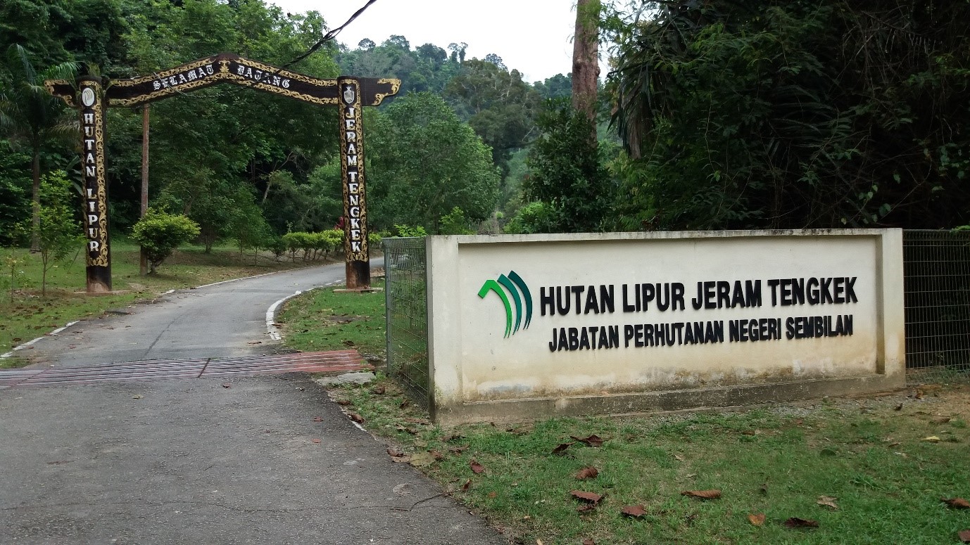 8 Air Terjun Best di Negeri Sembilan - TripJalan