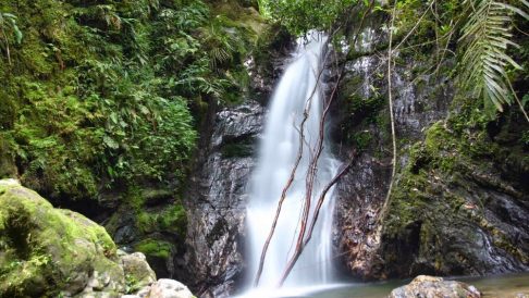 8 Air Terjun Best di Negeri Sembilan - TripJalan